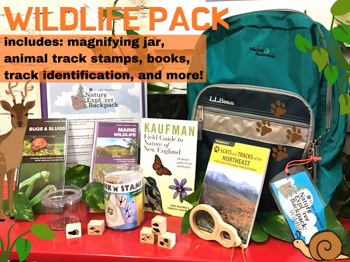 Kids’ Nature Backpacks // Lewiston Public Library, Maine