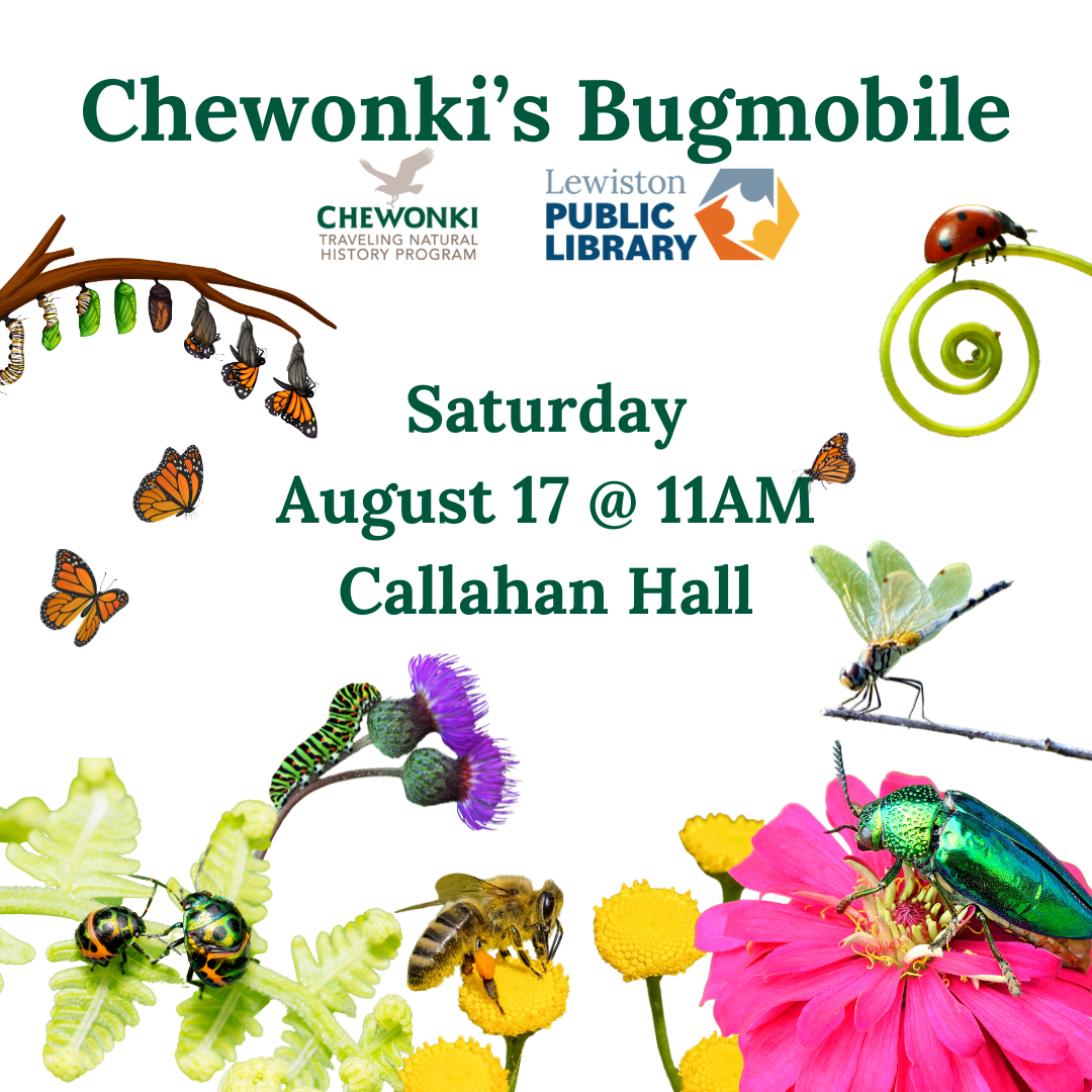 Chewonki’s Bugmobile // Lewiston Public Library, Maine