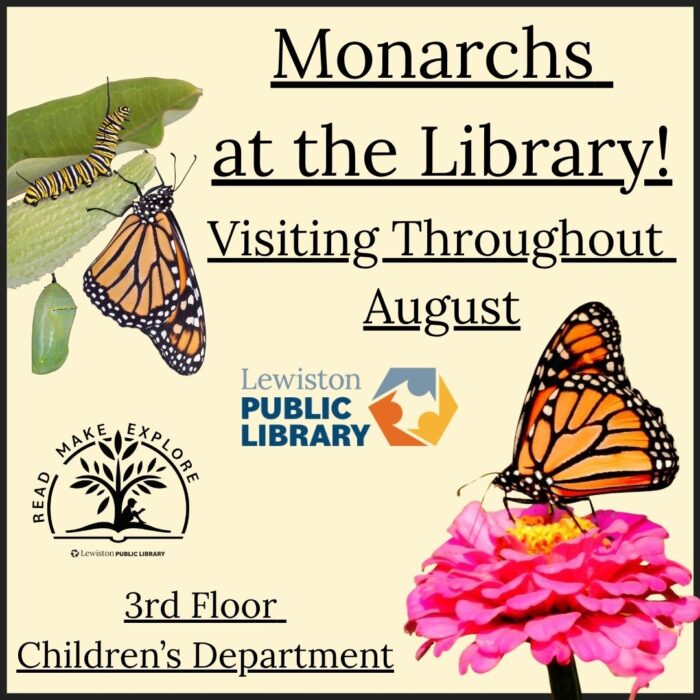 MONARCH BUTTERFLIES AT THE LEWISTON PUBLIC LIBRARY! // Lewiston Public ...